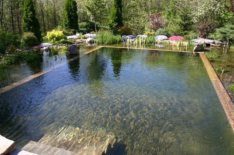 Natural Swimming Pools Design Ideas, Inspirations, Photos