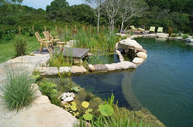 Natural Swimming Pools Design Ideas, Inspirations, Photos