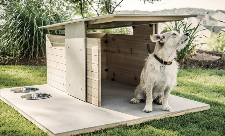 13 Inspiring Ideas to Build Your Own Dog House | Decoist
