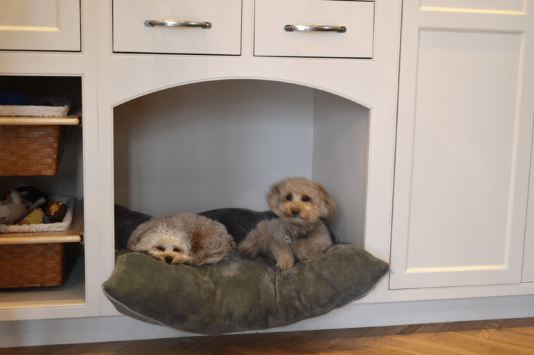 Modern Dog Nooks That Are Cozy and Stylish - FUTURISTIC ARCHITECTURE