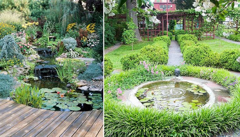 25 Cheap DIY Pond Ideas on a Budget: Homemade Ponds for Your Backyard ...