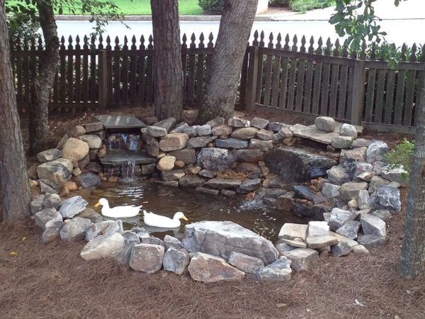 25 Cheap DIY Pond Ideas on a Budget: Homemade Ponds for Your Backyard ...
