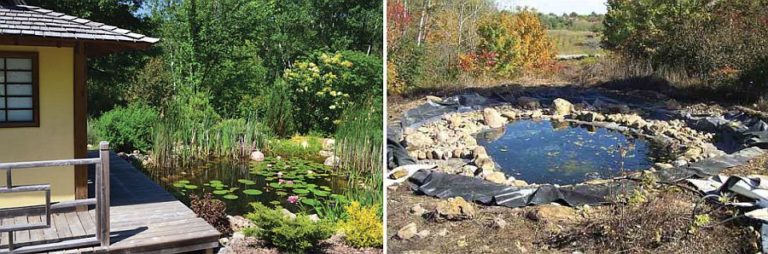 25 Cheap DIY Pond Ideas on a Budget: Homemade Ponds for Your Backyard ...