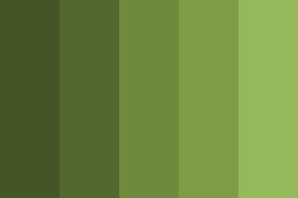 Color your Home: How to Use Olive Green Inside your House - Decorizer