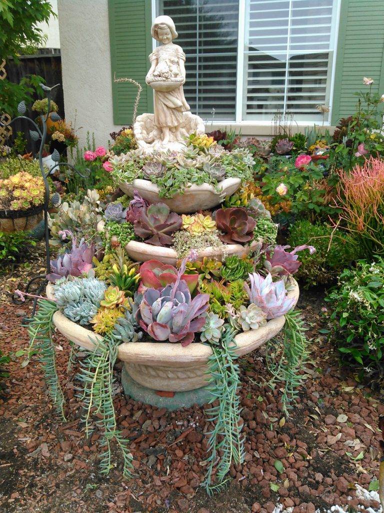 Stunning Succulent Garden Ideas for an Easy Outdoor Oasis - Decorizer