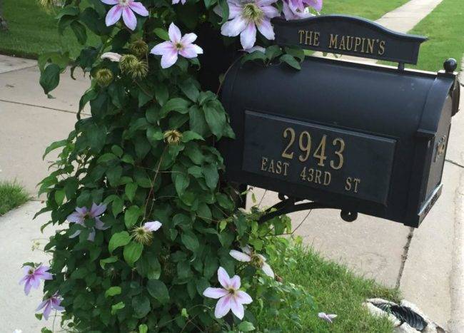 Stylish Mailbox Ideas to Leave a Lasting Impression - Decorizer