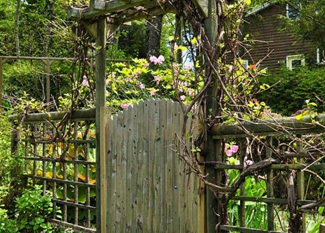 40 Wooden Gate Designs & Ideas for Your Backyard (w/Pictures!) | Decoist