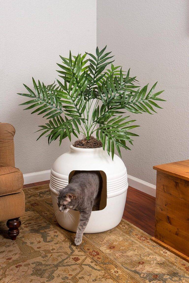 Creative Ways to Conceal Your Hidden Litter Box | Decoist