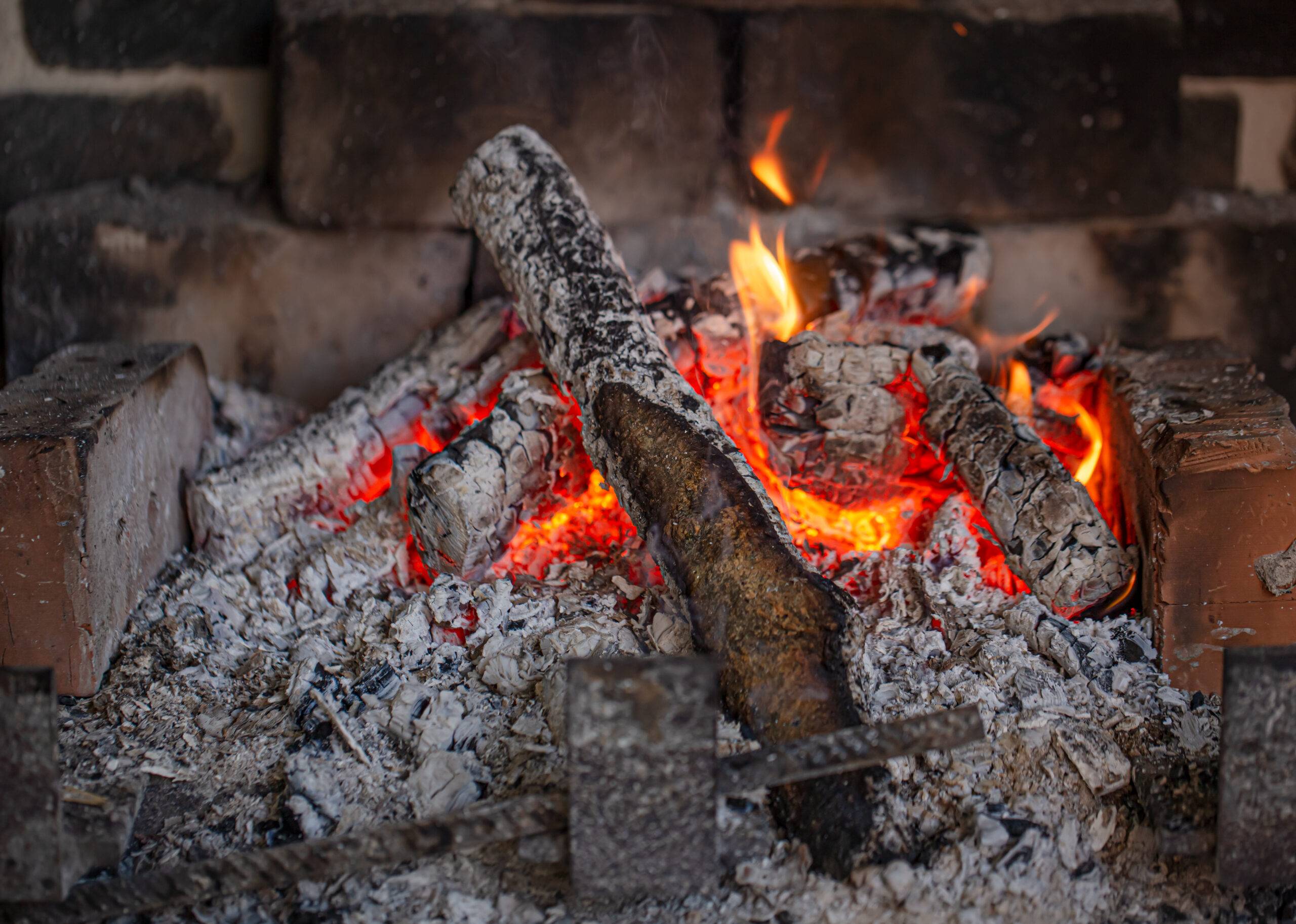 Clever Ways To Reuse Fireplace Ashes | Decoist
